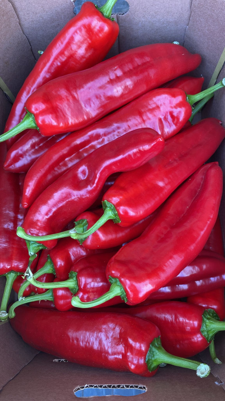 Sheppard Pepper (Tatashe) — SMK African Store